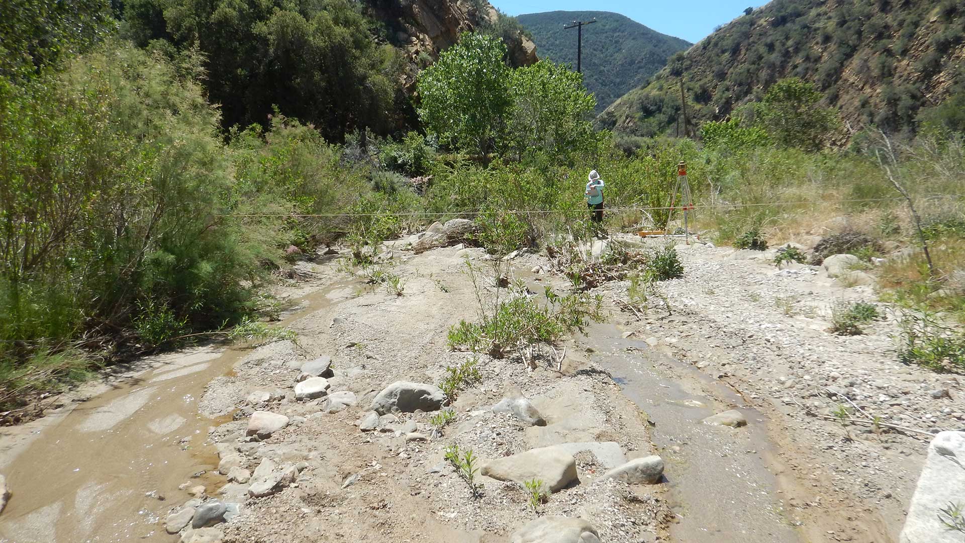 What We Do – Blue_Tomorrow