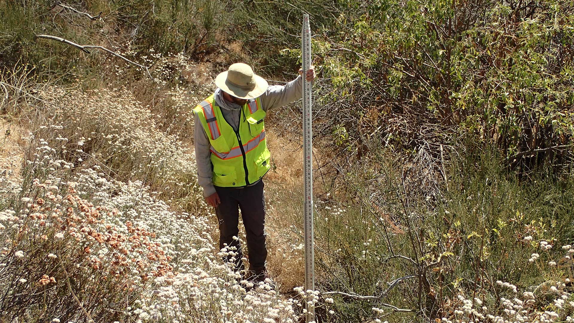 What We Do – Blue_Tomorrow