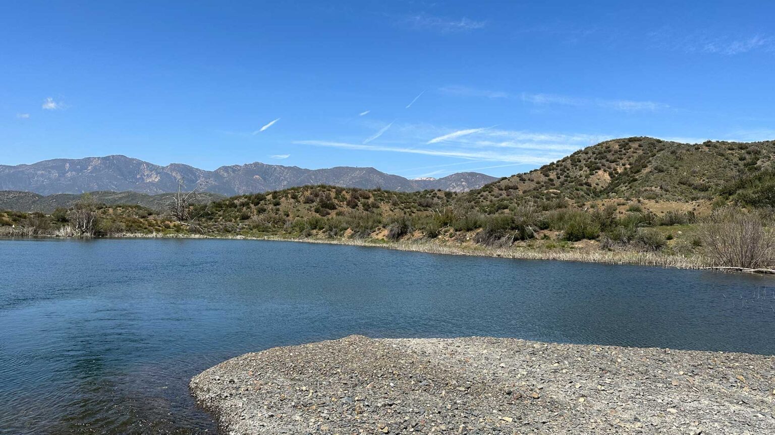 What We Do – Blue_Tomorrow