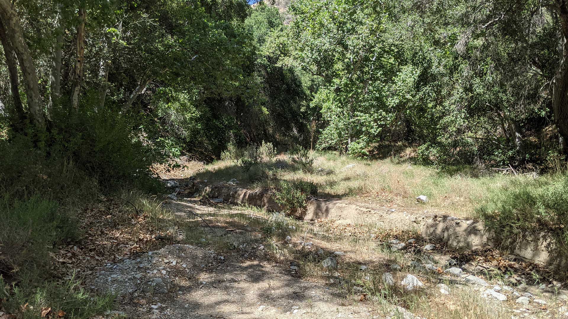 What We Do – Blue_Tomorrow